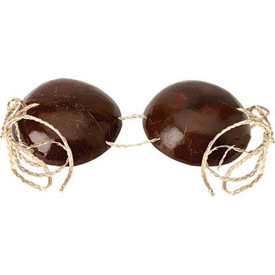 Coconut Bra - Party City