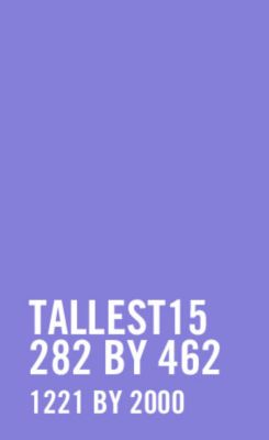 Biker Costume Kit - Party City